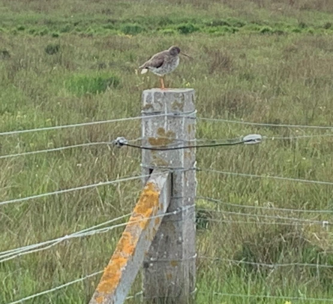 And the year moves on .. | OrkneyLiving.co.uk